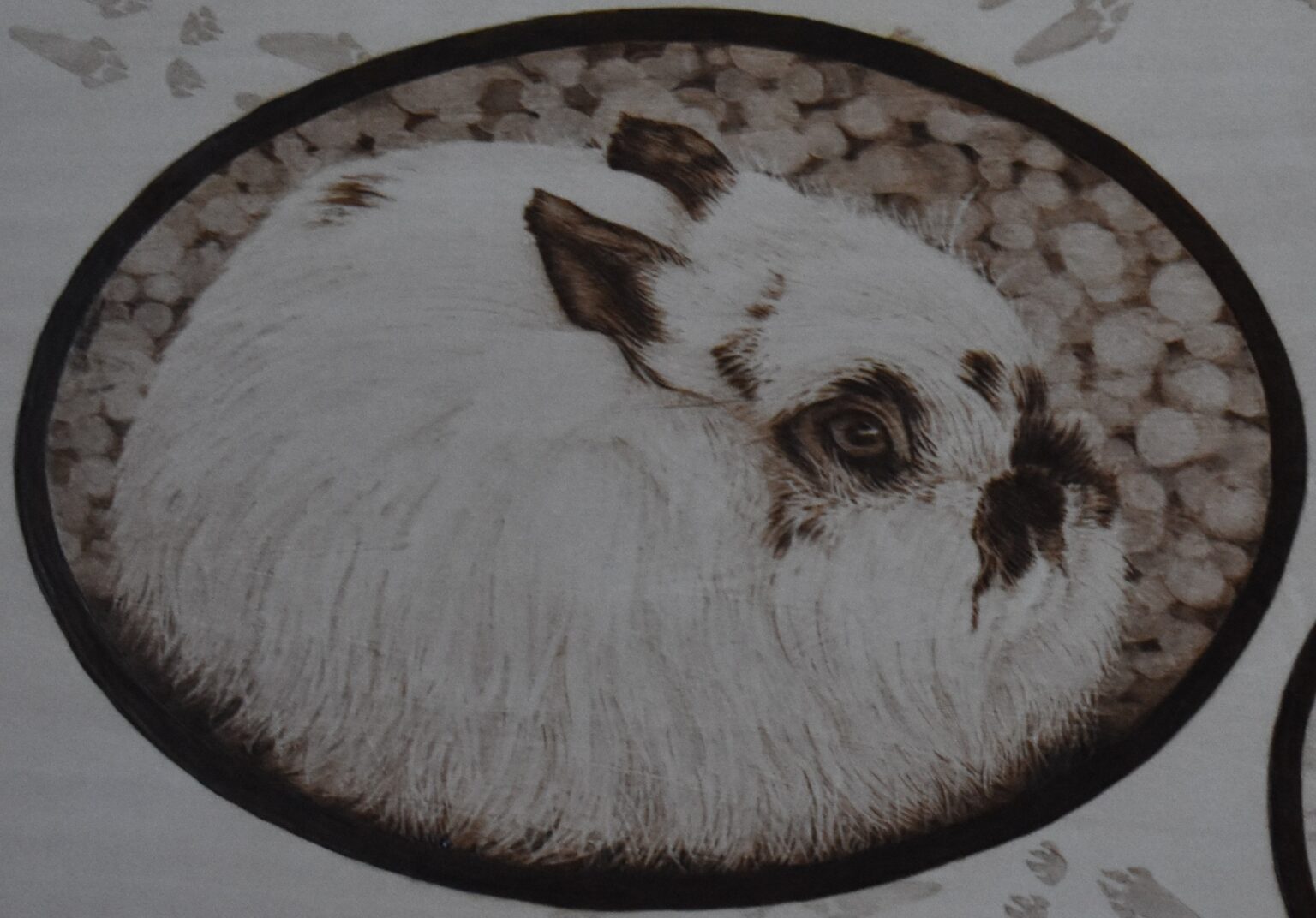 ANIMALS & INSECTS- not cats or dogs – Pyrography Made Easy