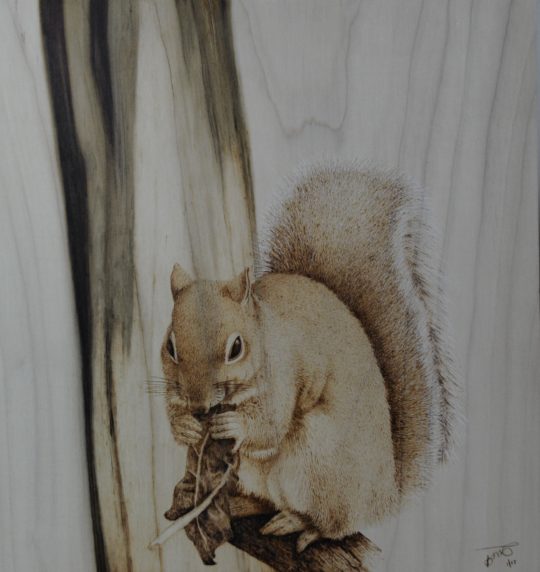 ANIMALS & INSECTS- not cats or dogs – Pyrography Made Easy